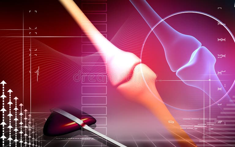 Joint Transparent Leg Bone Anatomy Stock Illustrations – 550 Joint ...