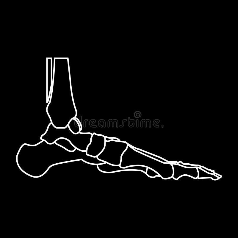 Human leg bones icon stock vector. Illustration of digitally - 311775296