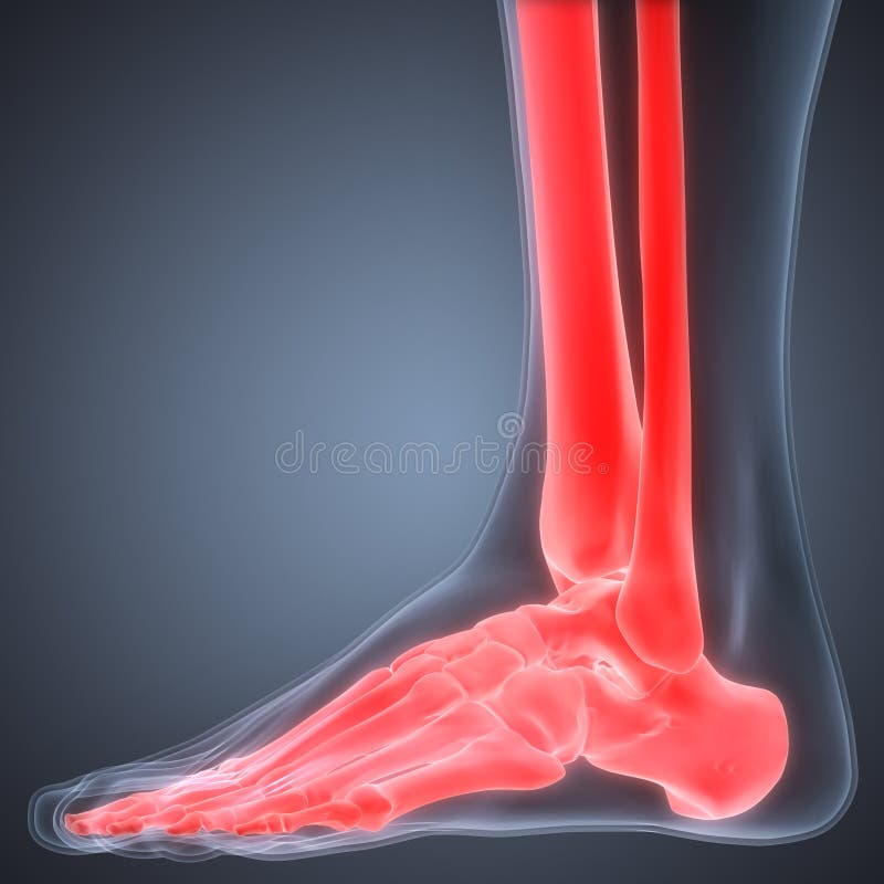 Human Leg Joint Pains stock illustration. Illustration of medicine ...