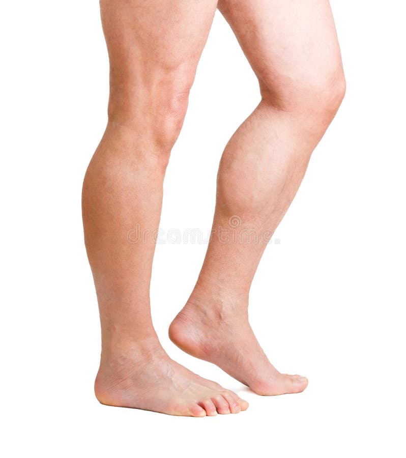 Human Legs stock photo. Image of walk, human, health - 35514736