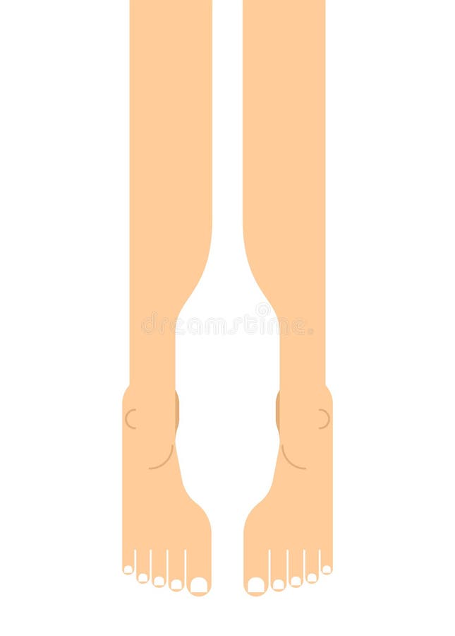 Human Legs Top View. Legs Isolated Stock Vector - Illustration of ...