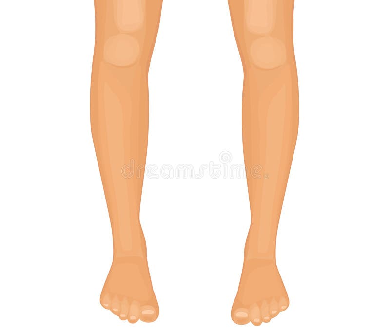 Cartoon Women Legs Icon Set Different Types. Vector Stock Vector ... Cartoon Women Legs Icon Set Different Types. Vector Stock Vector ...