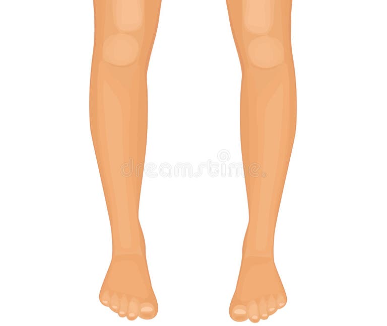Legs Vector Stock Illustrations – 106,024 Legs Vector Stock ...