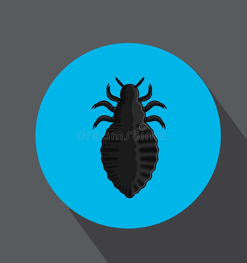Lice Stock Illustrations – 1,204 Lice Stock Illustrations, Vectors ...