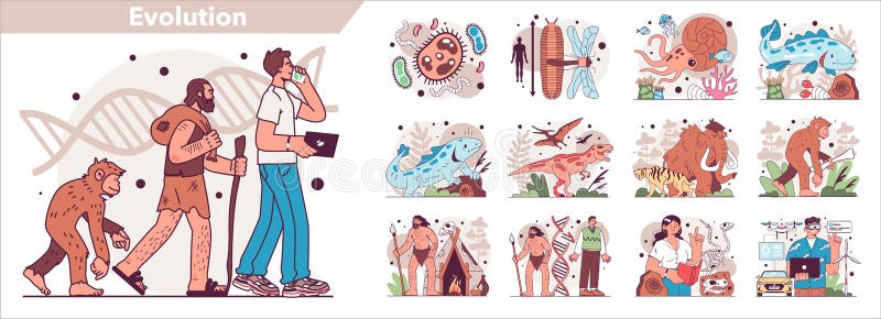 Human and Life Forms on Earth Evolution Set. Evolutionary Development ...