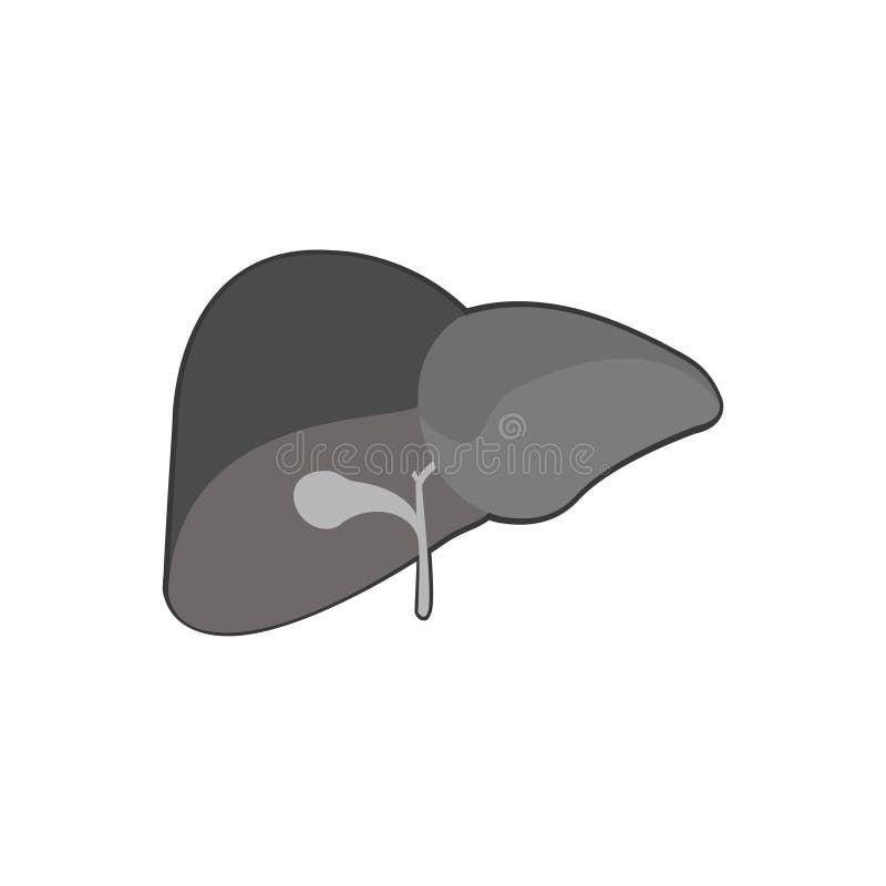 Human Liver Art Vector Illustration. Medicine Design Background Stock ...