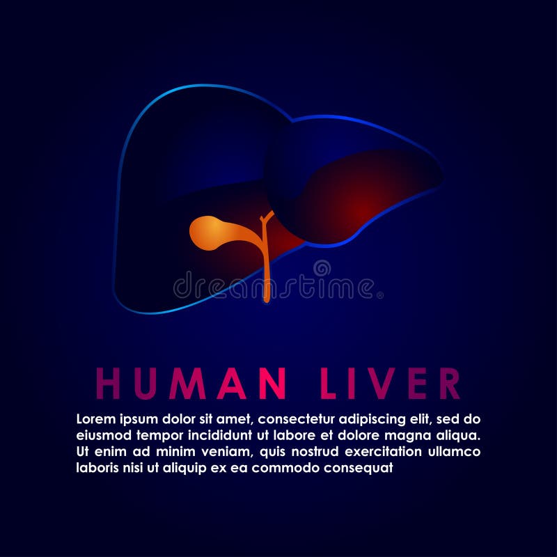 Human Liver Art Vector Illustration. Medicine Design Background Stock ...