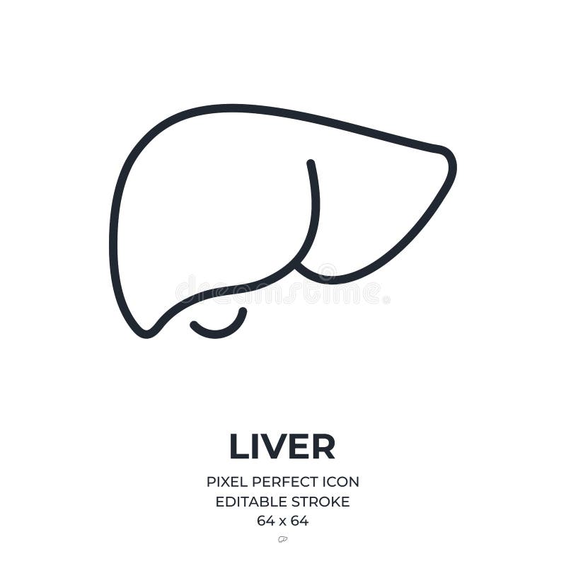 Liver Pixel Art. Human Internal Organs 8 Bit Stock Vector ...