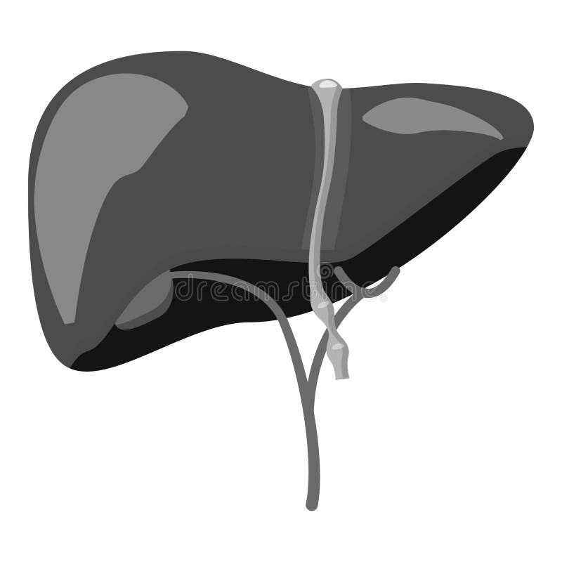 Liver icon, outline style stock vector. Illustration of digestive ... Liver icon, outline style stock vector. Illustration of digestive ...
