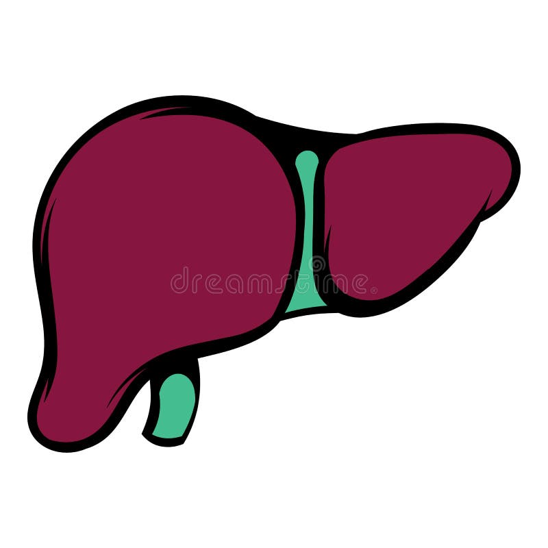 Human Liver Icon, Icon Cartoon Stock Vector - Illustration of health ...