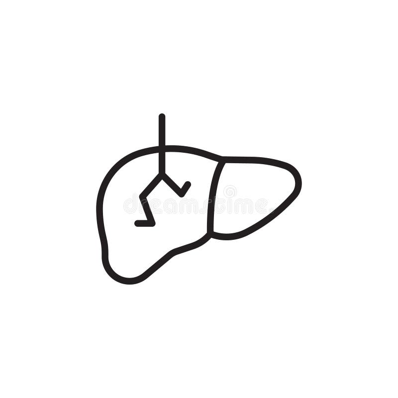 Human Liver Icon Outline Vector for Web Ui Stock Vector - Illustration ...