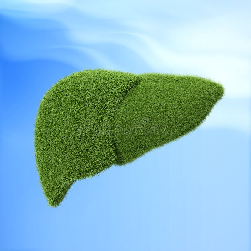 Human Liver Shape Made from Grass on Blue Background Stock Illustration ...