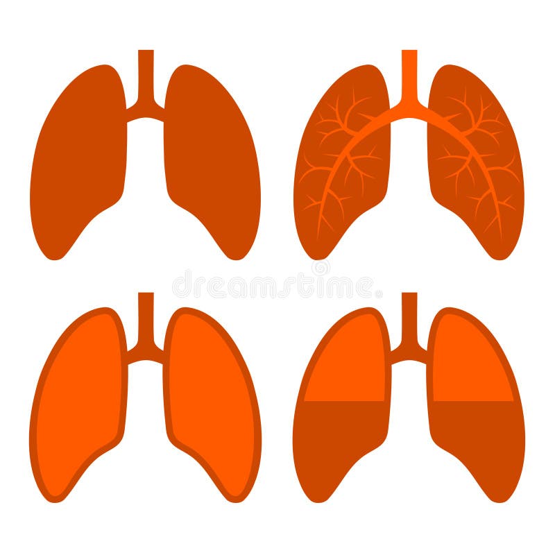 Lung icons Vector stock vector. Illustration of healthy - 91830632