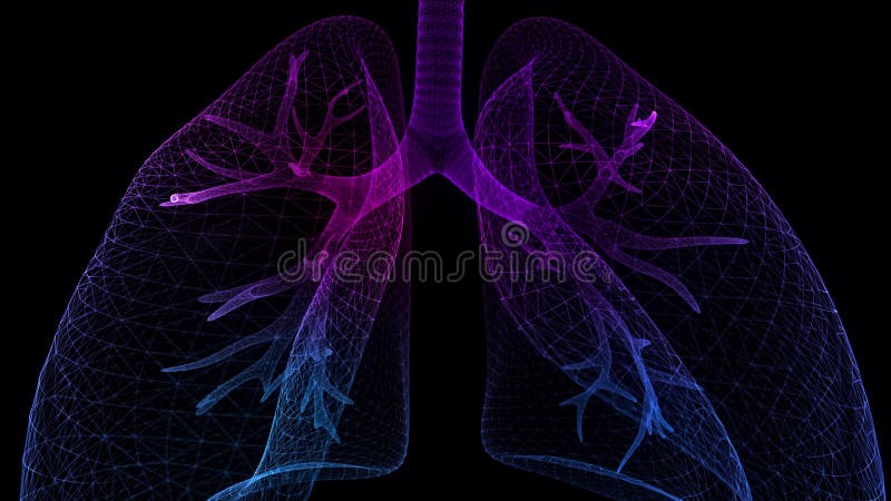 Human Lungs. Blue Light Dot and Lines Formation Human Lungs Model Stock ...
