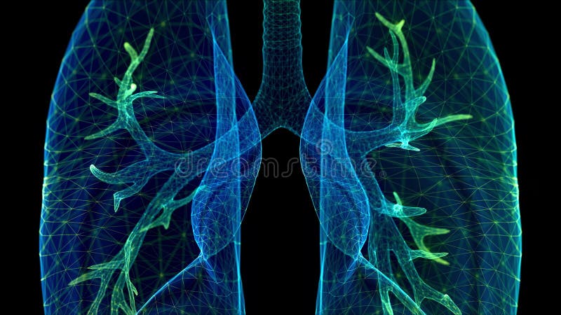 Human Lungs. Blue Light Dot and Lines Formation Human Lungs Model Stock ...