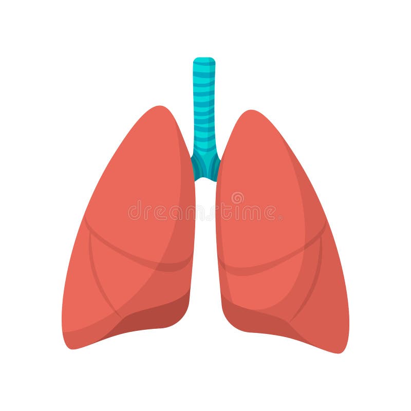 Cartoon Human Lungs Stock Illustrations – 4,654 Cartoon Human Lungs ...