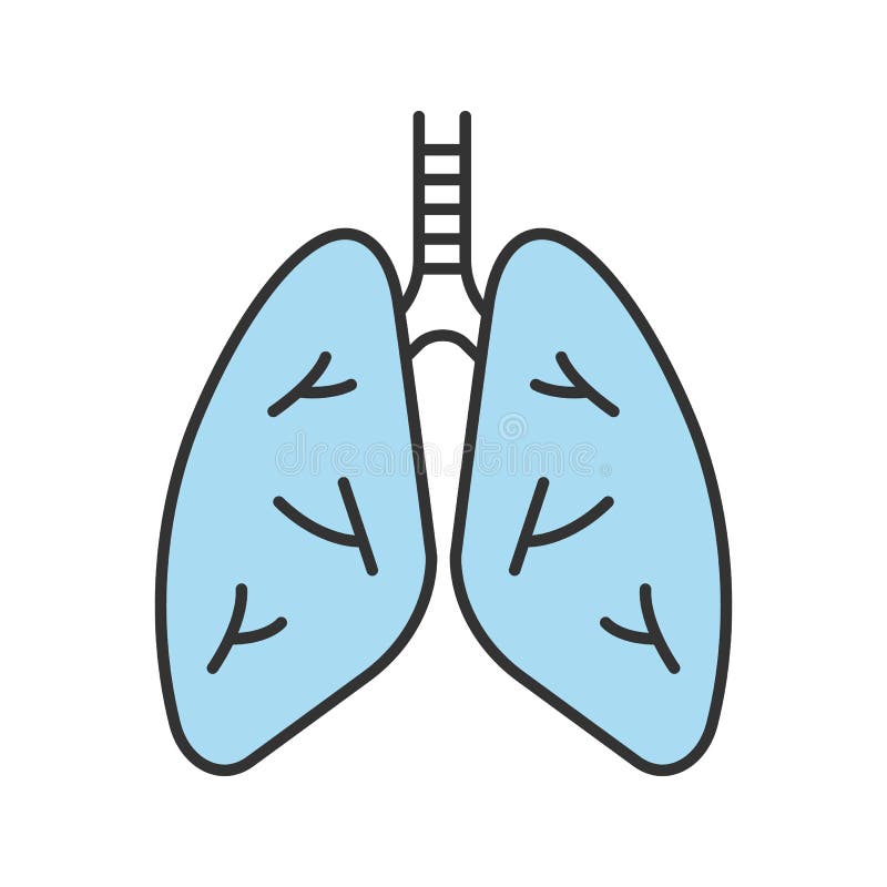 Human lungs color icon stock vector. Illustration of biology - 200427804