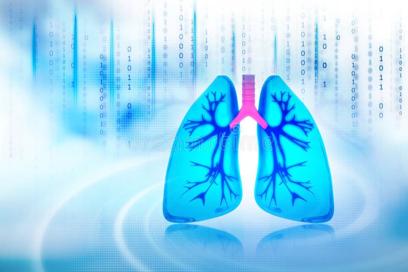 Human Lungs and Bronchi and Oxygen in X-ray View Stock Illustration ...