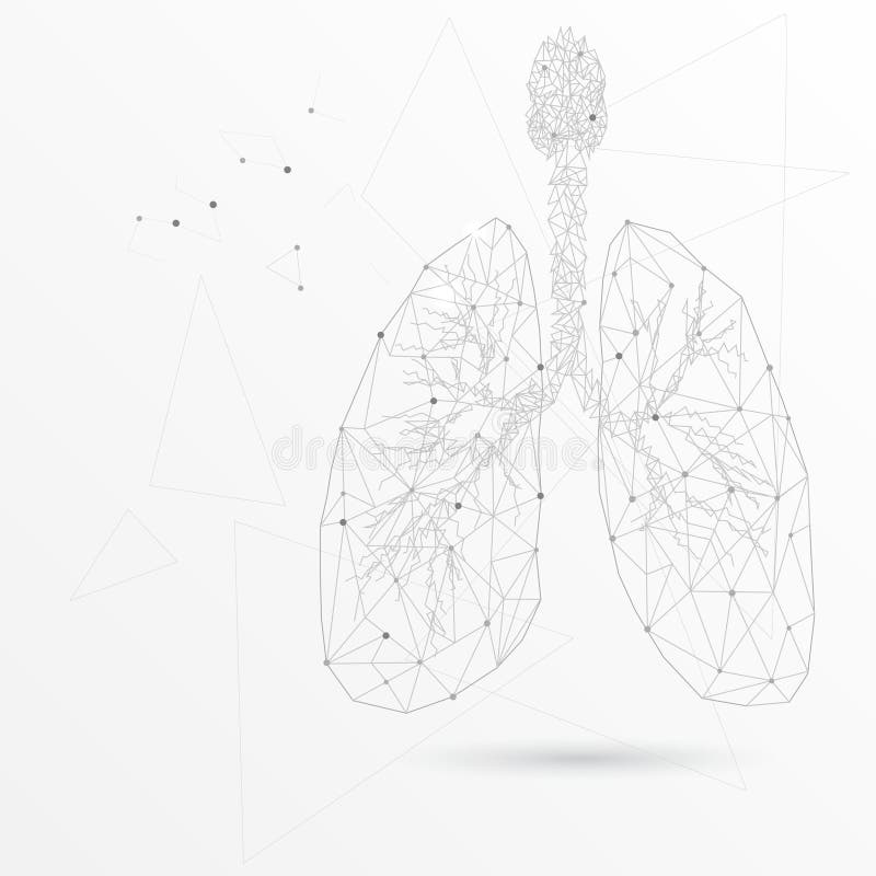 Human Lungs Digitally Drawn in Low Poly Triangle Shape Stock Vector ...
