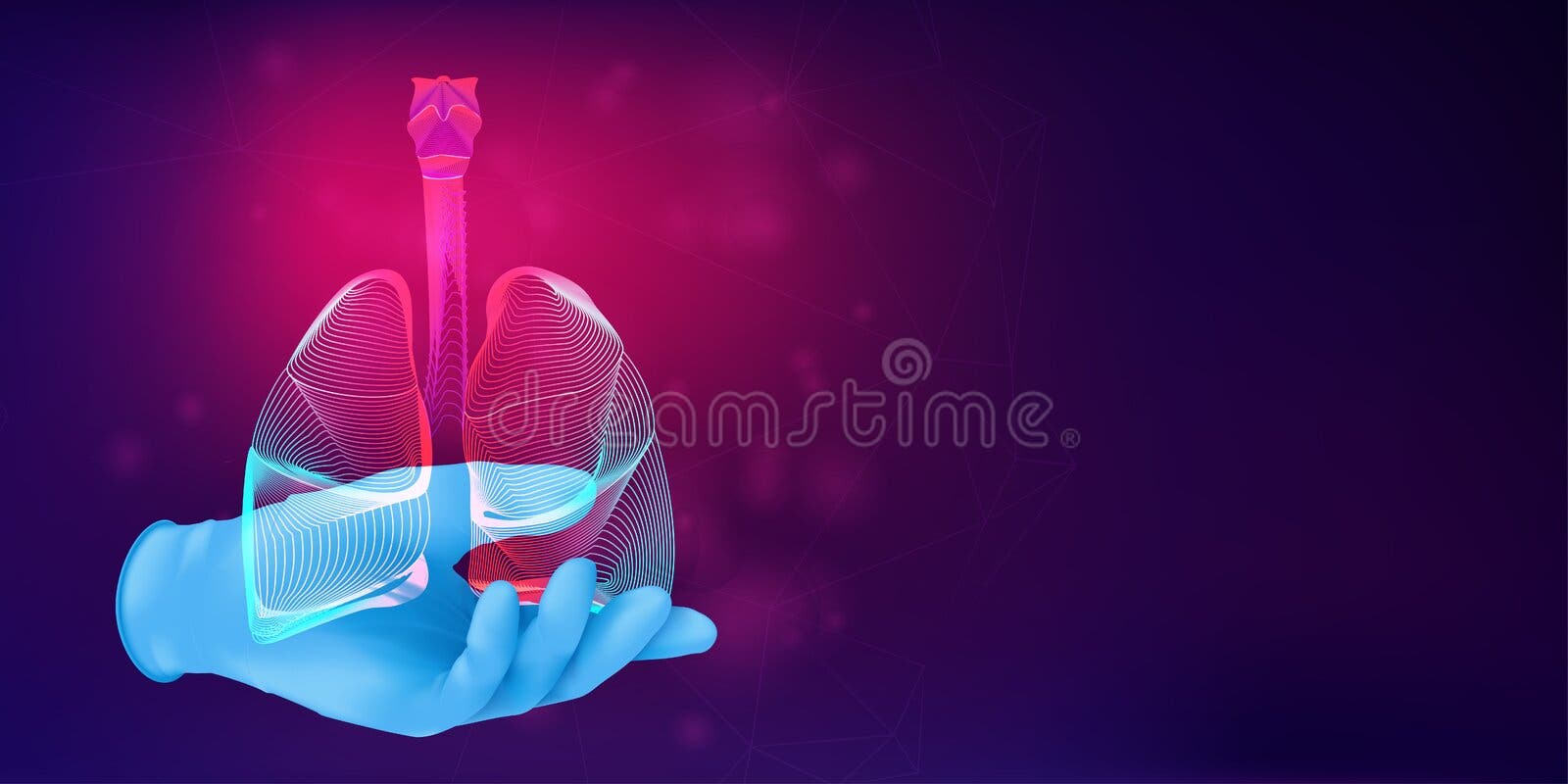 Human Lungs Medical Structure Outline Vector Illustration Of Body Part