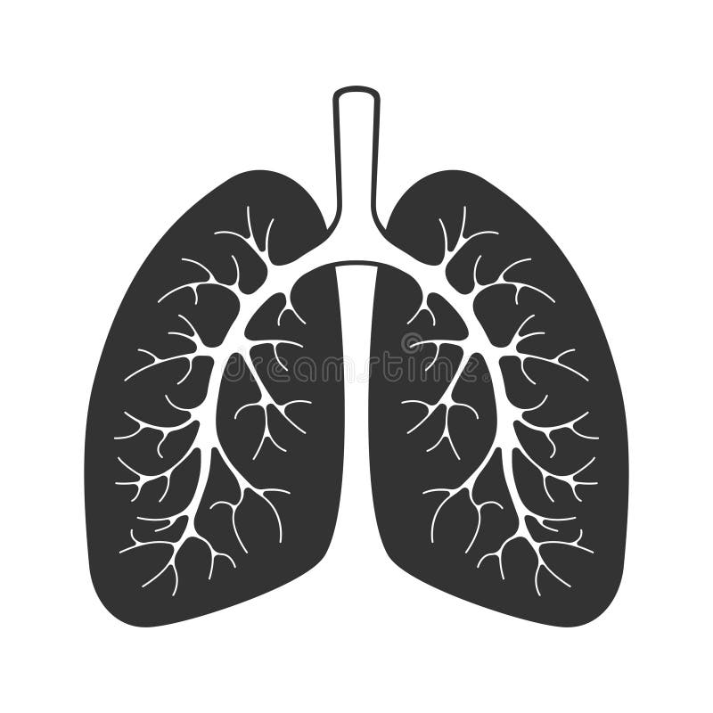 Human lungs graphic icon stock vector. Illustration of oxygen - 422535772