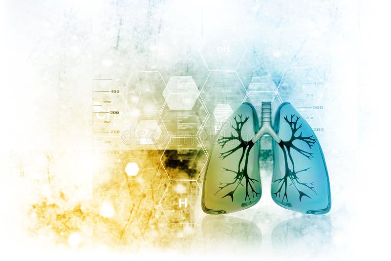 Human lungs stock illustration. Illustration of medicine - 105307143