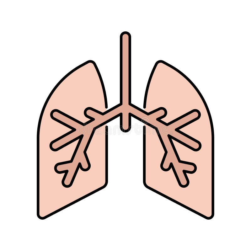 Lung, Human Body Parts, Anatomical Lung Icon Stock Vector ...