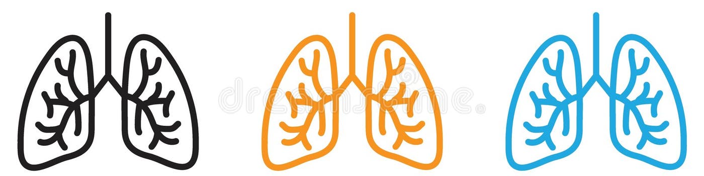 Simple Chest Diagram Lungs Stock Illustrations – 54 Simple Chest ...