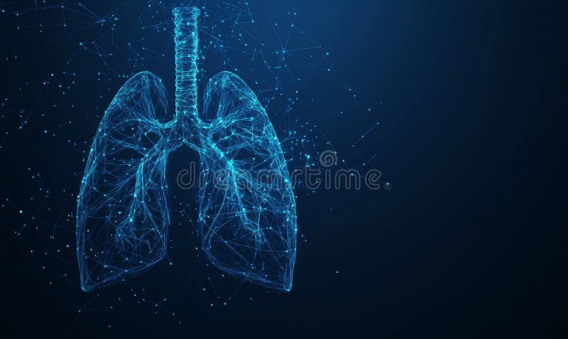 Human Lungs, Left and Right Lung, Trachea. Low Poly Style. Geometric ...