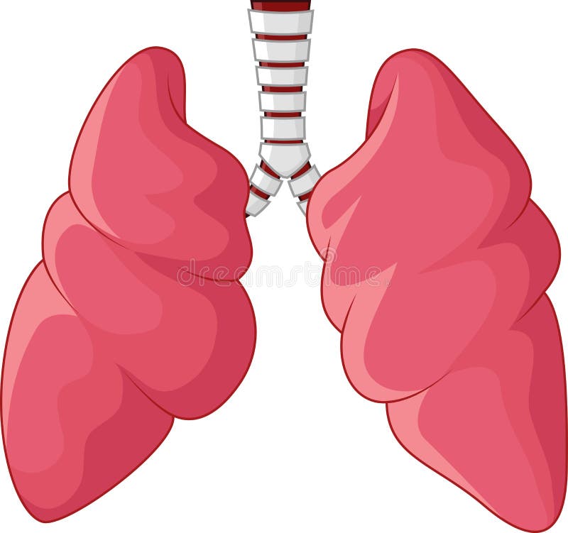 Human Lungs Respiratory Cartoon Stock Vector - Illustration of health ...