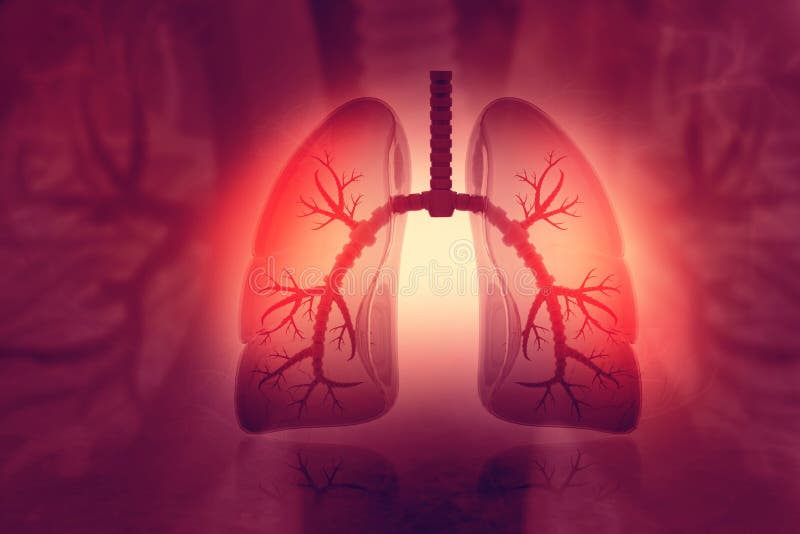 Human Lungs on Scientific Background Stock Illustration - Illustration ...