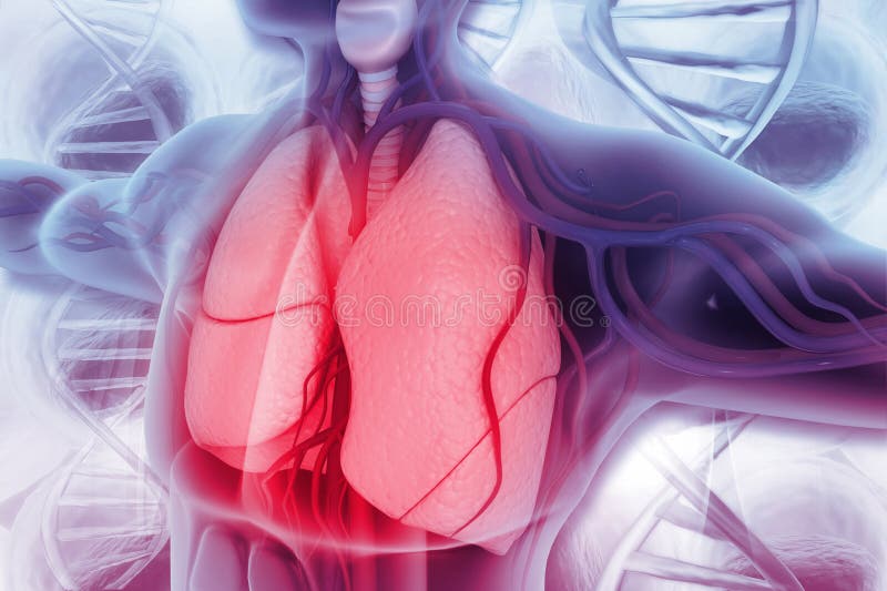 Human Lungs on Scientific Background Stock Illustration - Illustration ...