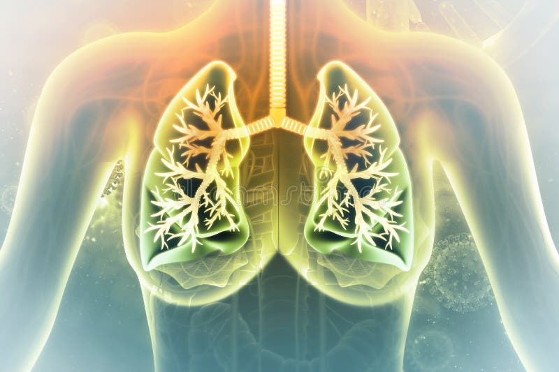 Human Lungs on Scientific Background Stock Illustration - Illustration ...