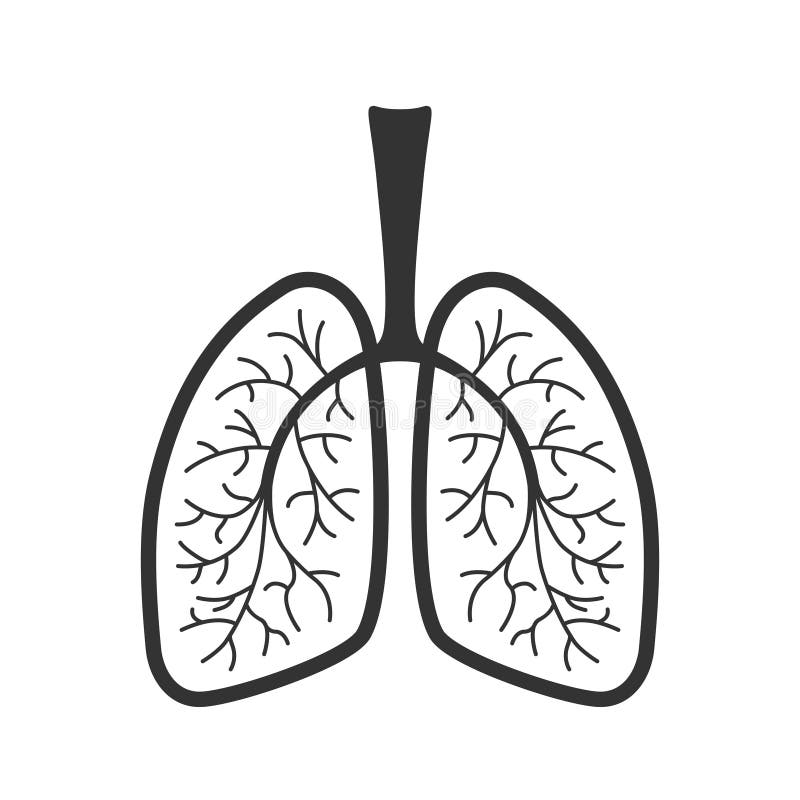 Bronchus Sign Stock Illustrations – 699 Bronchus Sign Stock ...