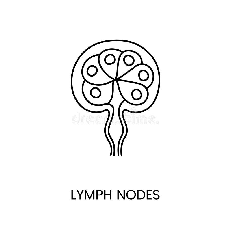 Human Body Mass Index Line Icon in Vector, Illustration Scales and ...