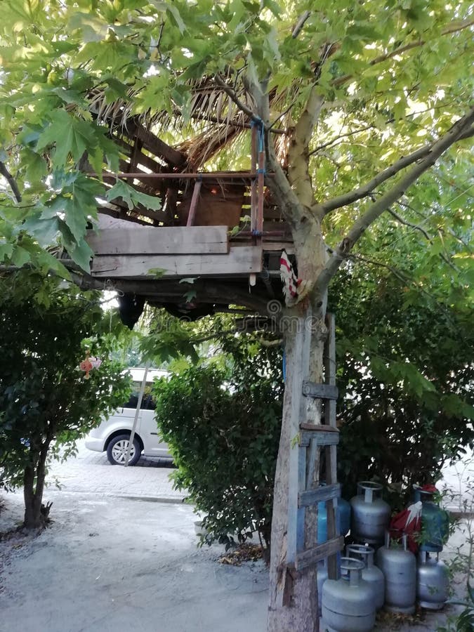 Human made Home on Tree stock image. Image of human - 166352835