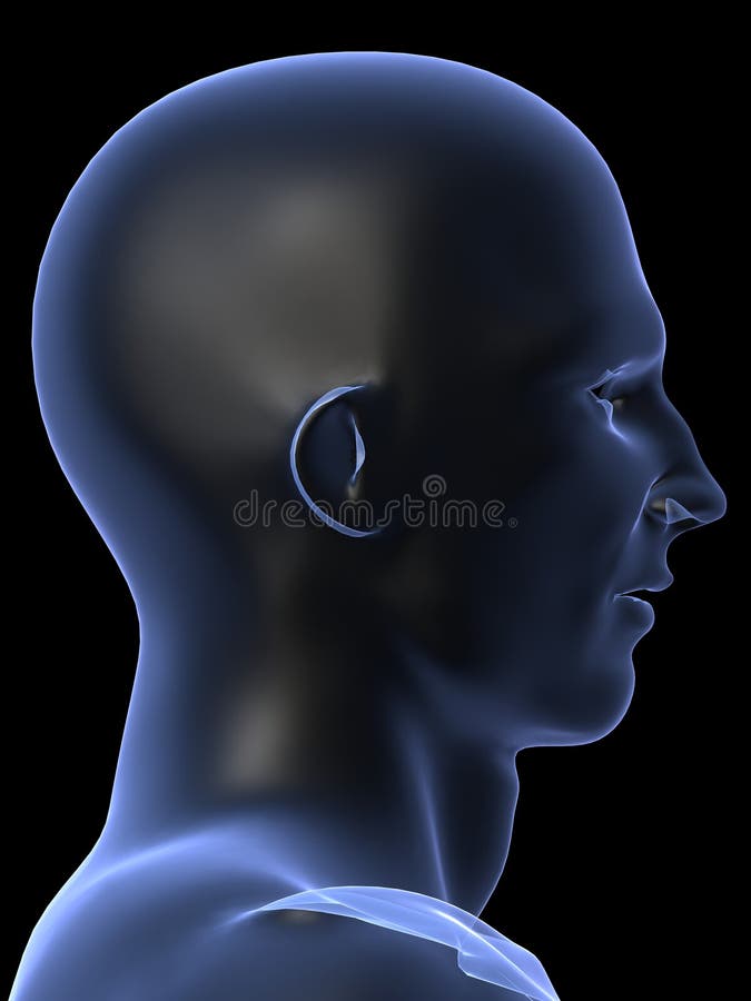 Human male shape stock illustration. Illustration of muscular - 1642071
