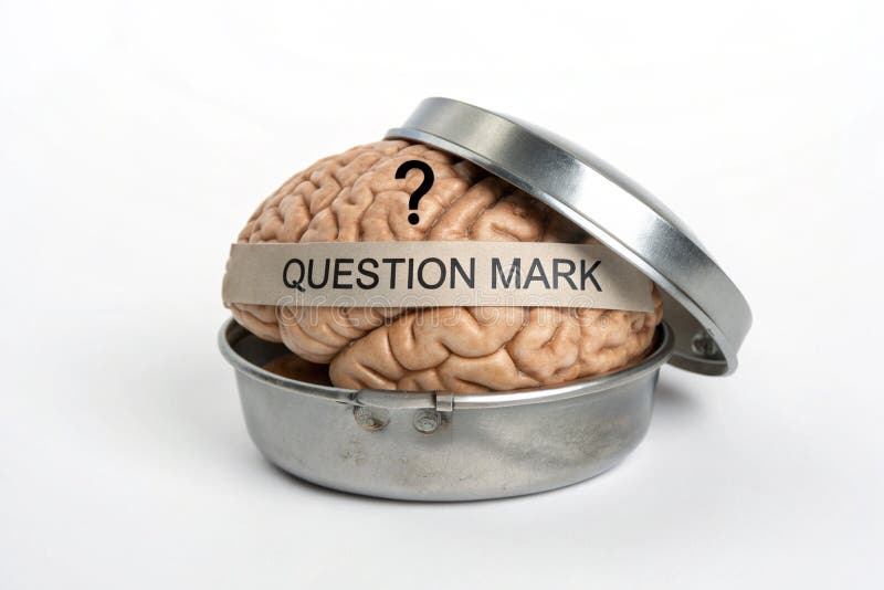 Human Metal Brain Model with Question Mark Stock Illustration ...