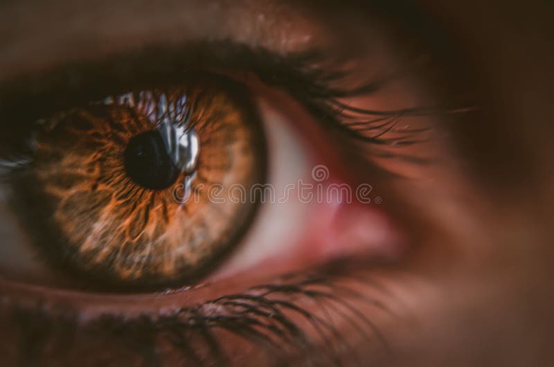 Human micro orange eye s stock image. Image of left - 166509713