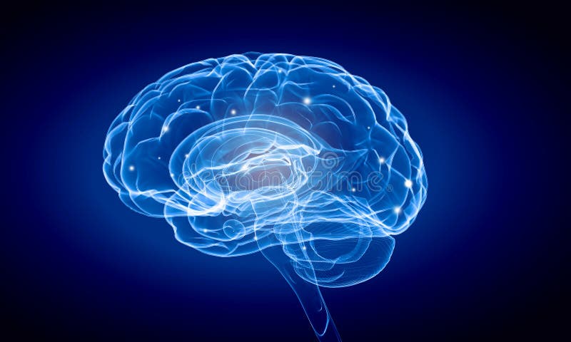 Human mind stock photo. Image of symbol, neurology, intellect - 57817614