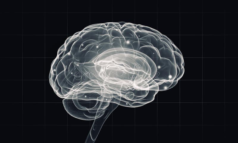 Human mind stock image. Image of internal, science, intellect - 58870033
