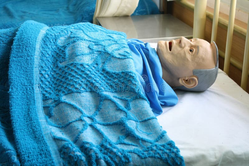 Human model stock photo. Image of healthcare, learn, health - 34299678