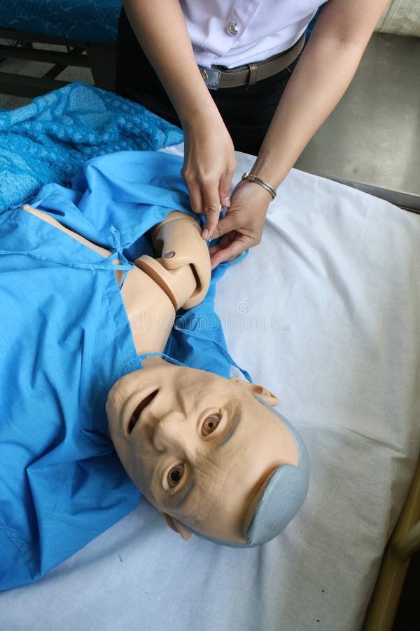 Human model stock image. Image of health, education, body - 34299691