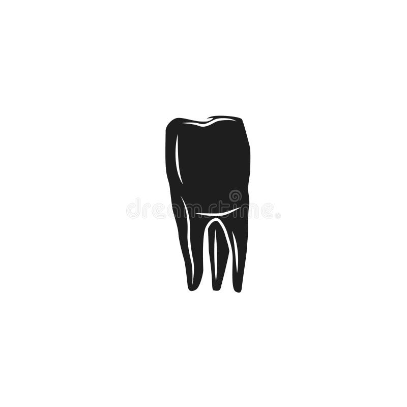 Human Molar Tooth. Vector Illustration Decorative Design Stock Vector ...