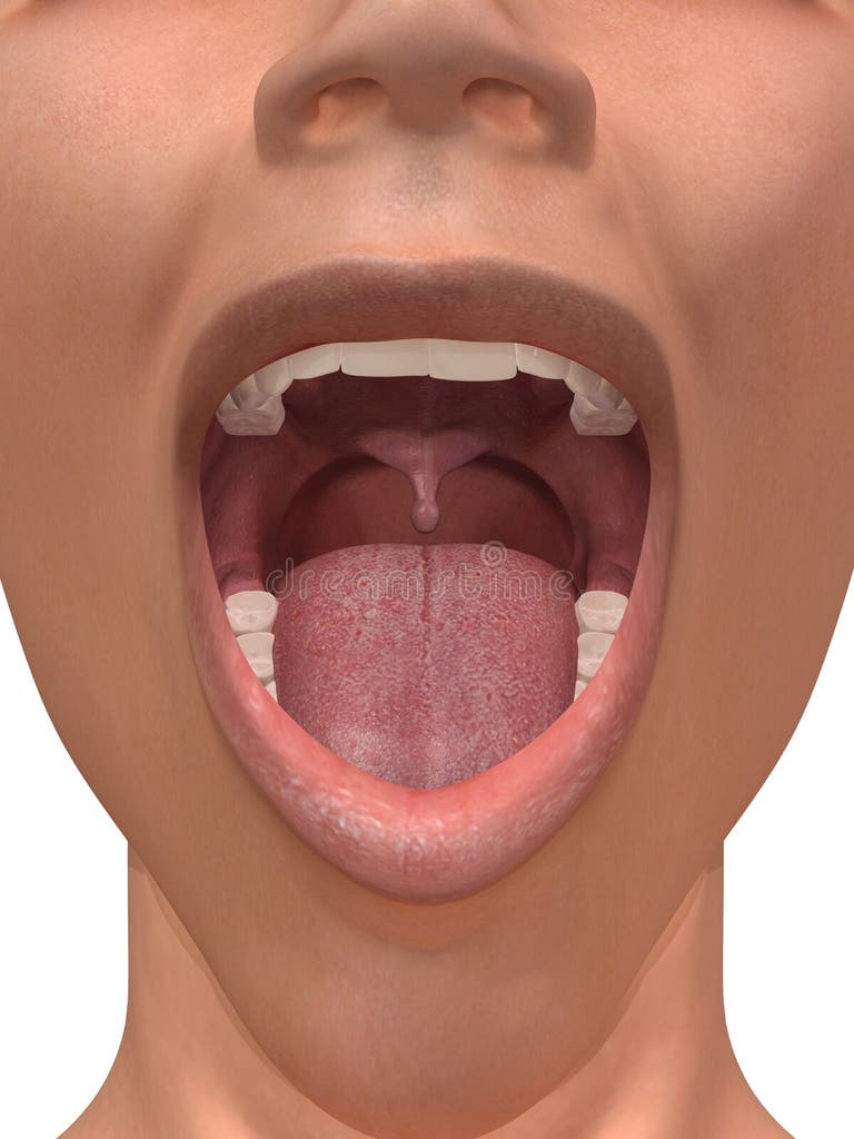 Palate Mouth Stock Illustrations – 872 Palate Mouth Stock Illustrations ...