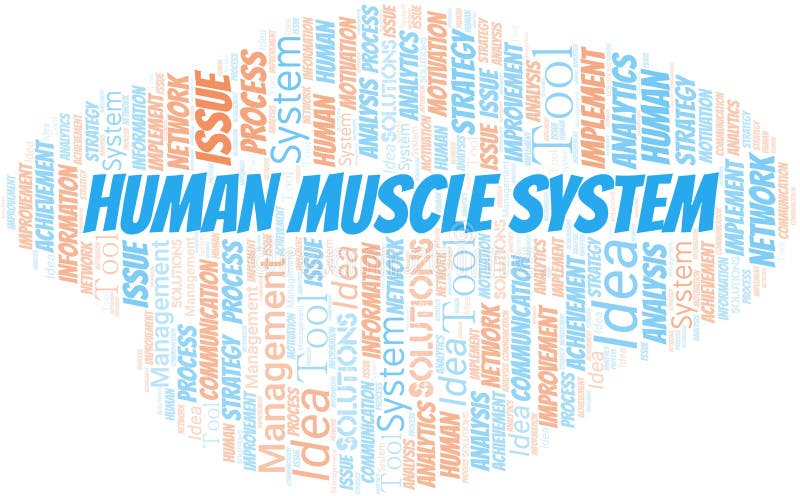 Human Muscle System Typography Vector Word Cloud. Stock Illustration ...