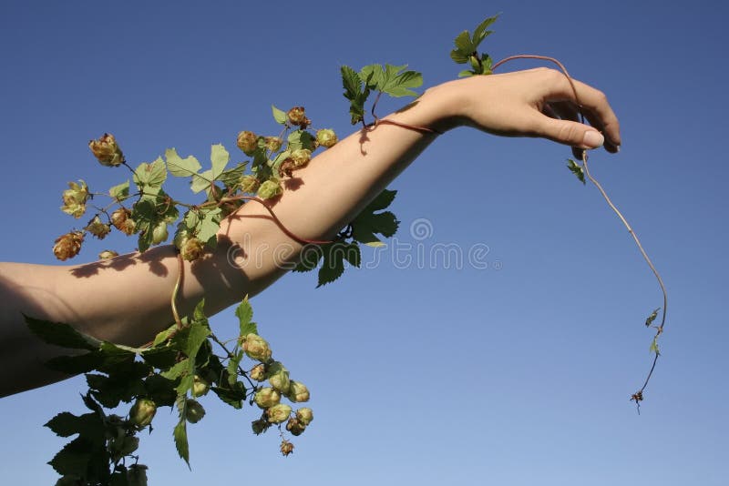 Human and nature stock image. Image of harmonious, scenery - 11292493