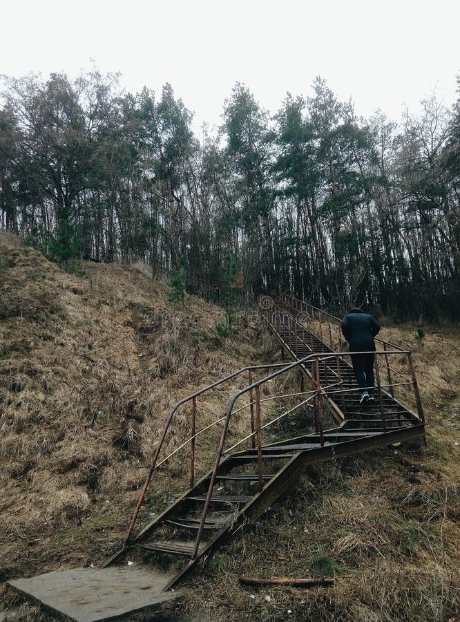 Human and nature stock image. Image of small, step, stairs - 89096531