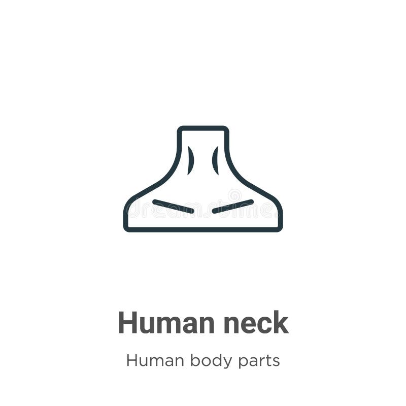 Human Neck Bone Structure. Anatomy Black Icon Stock Vector ...