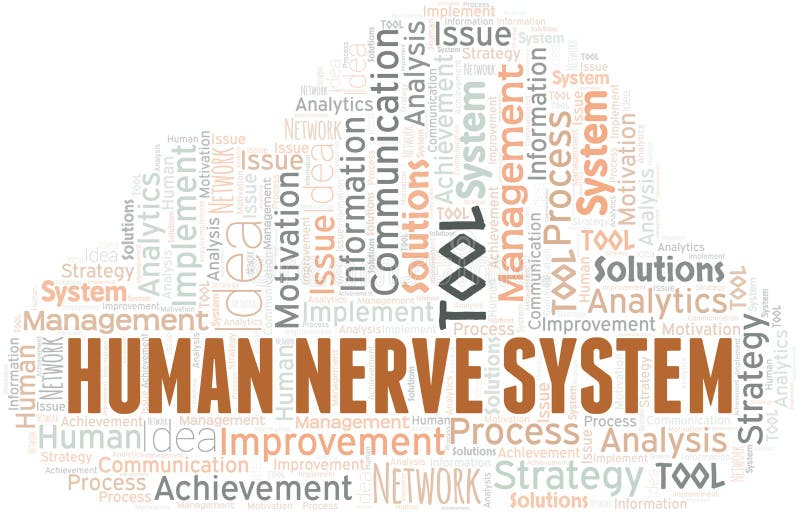 Human Nerve System Typography Vector Word Cloud. Stock Vector ...